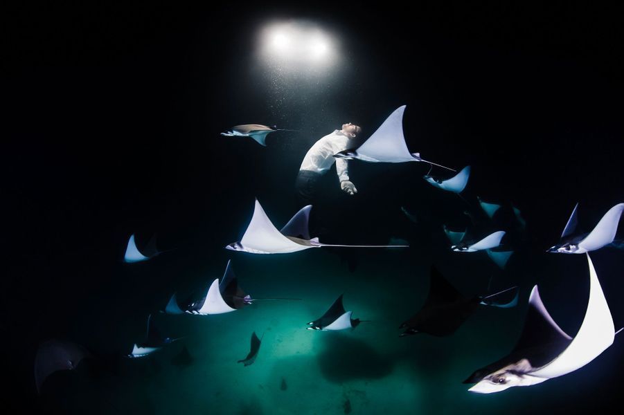 Danse avec les raies