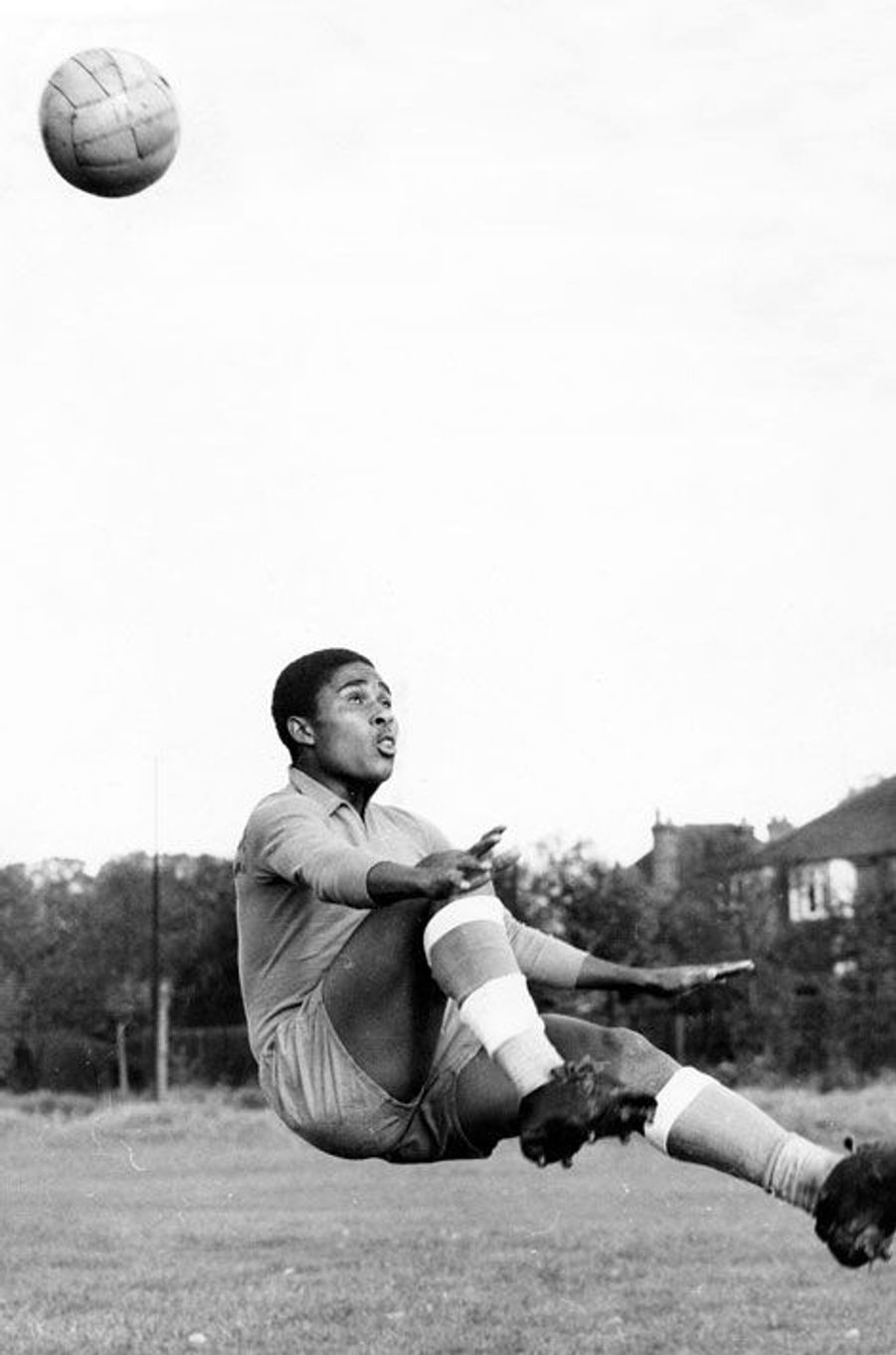 Rétro - Ils nous ont quittés en 2014