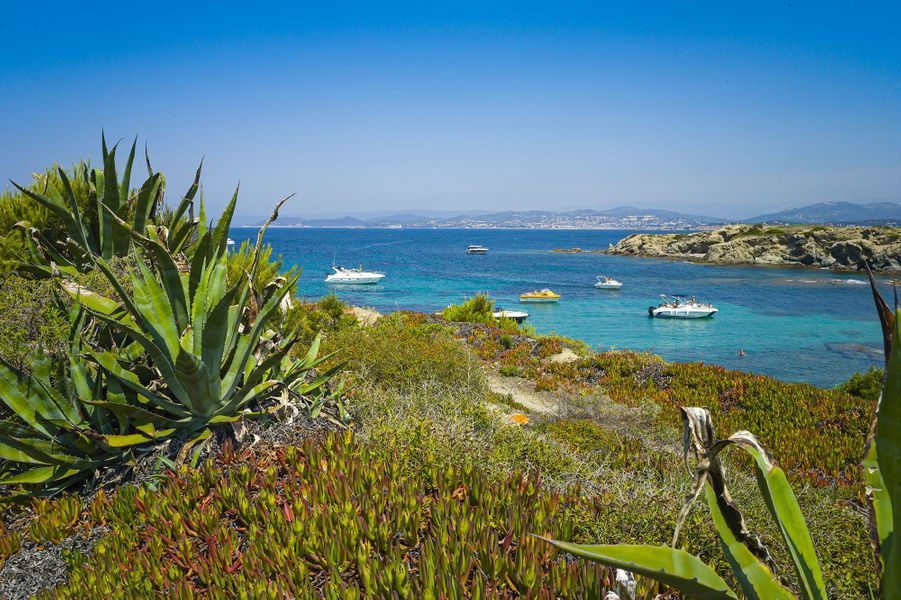 Proposé par les Iles Paul Ricard - Les Iles Paul Ricard, terres d’un ...