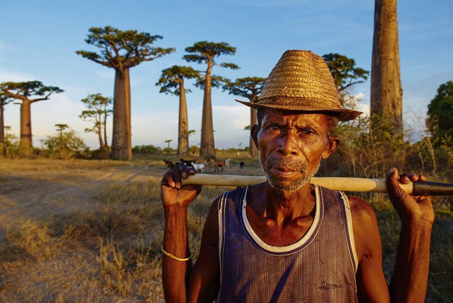 Destination Voyage - Madagascar, refuge du globe-trotter