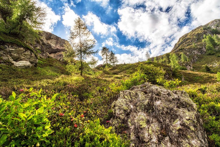 Destination voyage - L'Autriche, un spectacle époustouflant