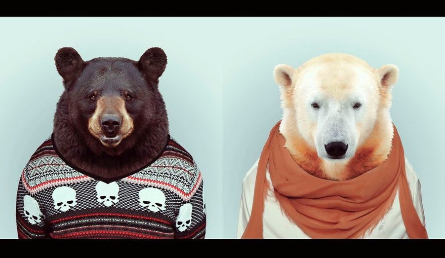 Les "Zoo Portraits" de Yago Partal