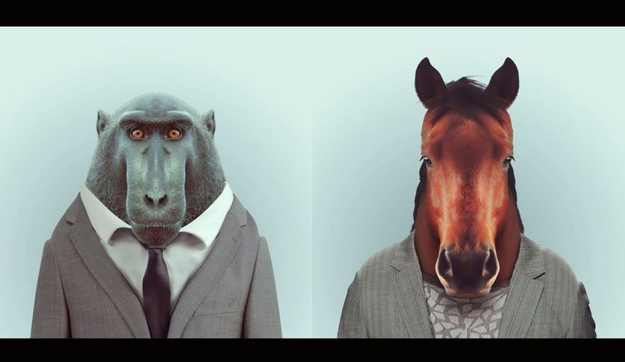 Les "Zoo Portraits" de Yago Partal