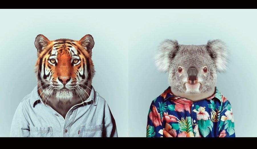 Les "Zoo Portraits" de Yago Partal