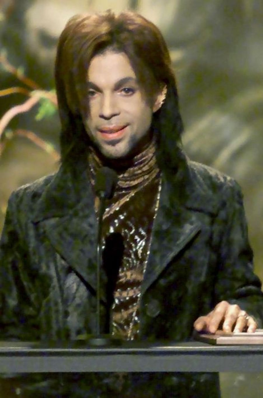 Prince, une carrière en images