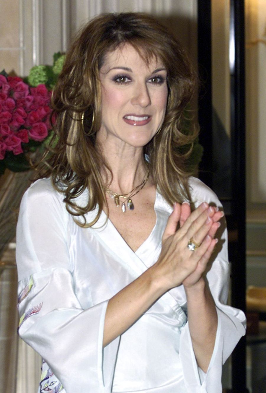 L'évolution de Céline Dion au fil des années