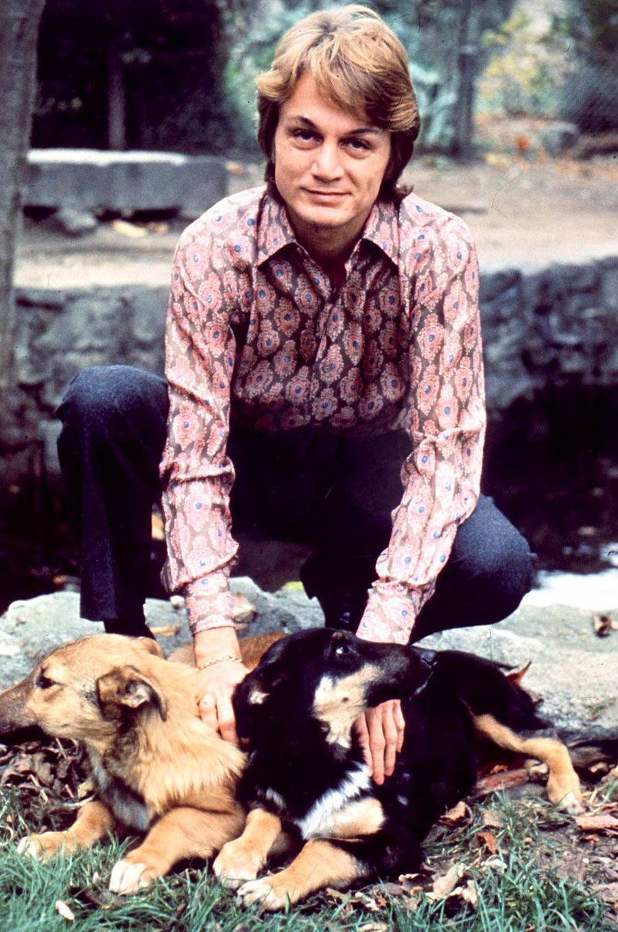 Claude François en 50 photos d'exception