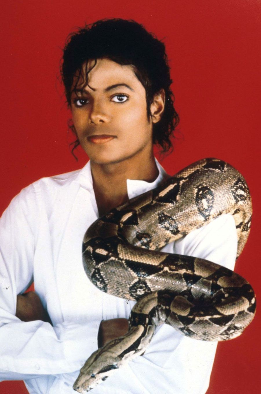 Michael Jackson : 8 ans déjà