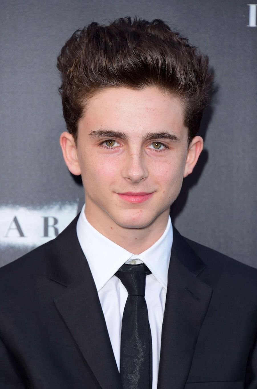 Timothée Chalamet, la nouvelle belle gueule d’Hollywood