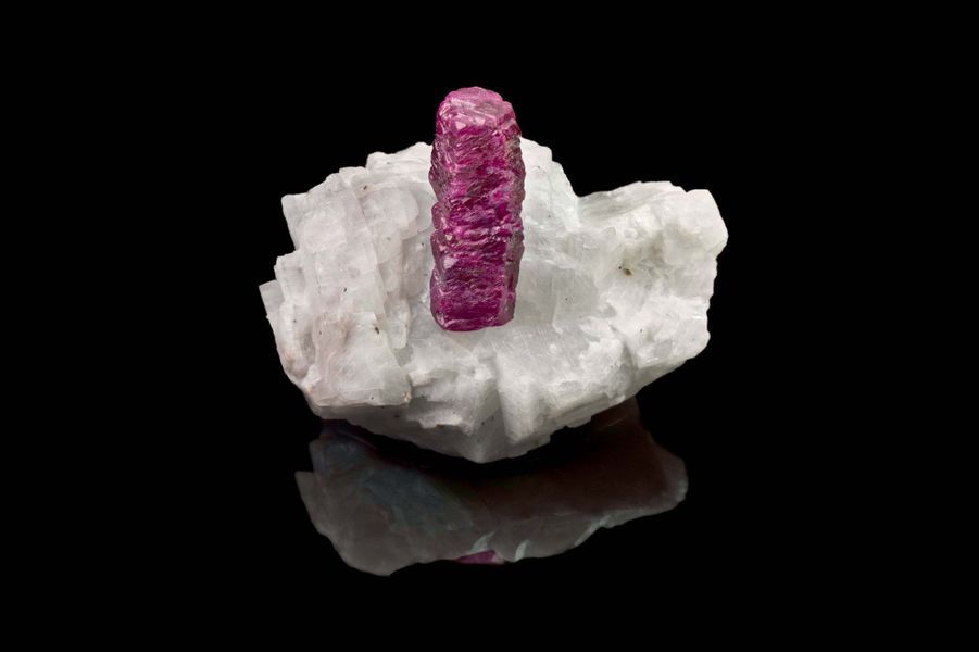 Bijoux et pierres précieuses : dialogue au Muséum