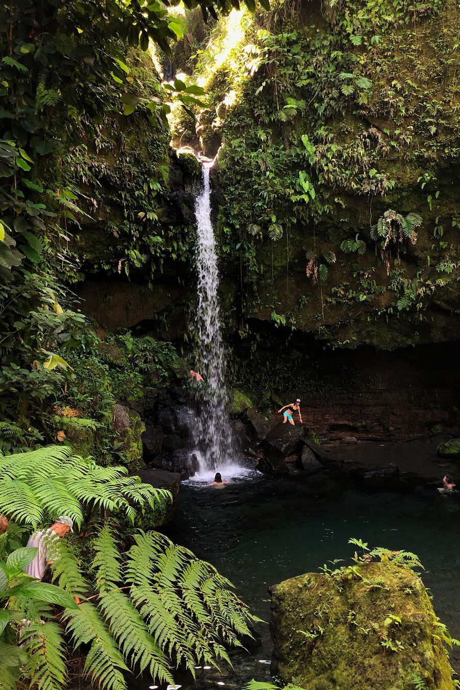 La Dominique, l'île secrète des Caraïbes