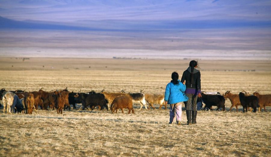Mongolie, terre boudée