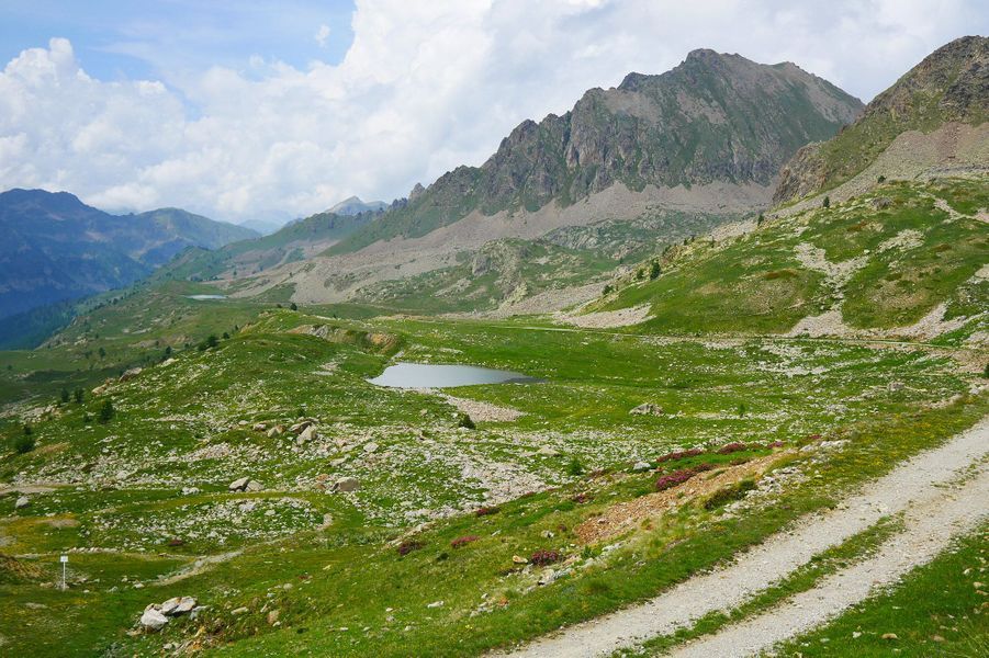 Road trip de légende dans les Alpes
