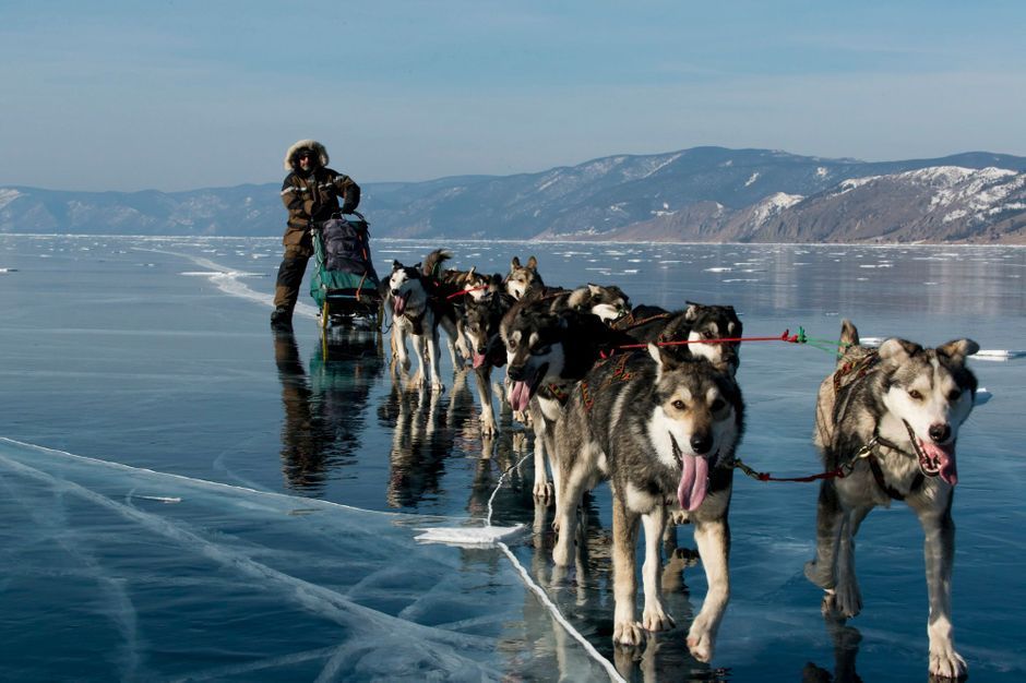 6000 km en traîneau - Nicolas Vanier au bout de l'épopée