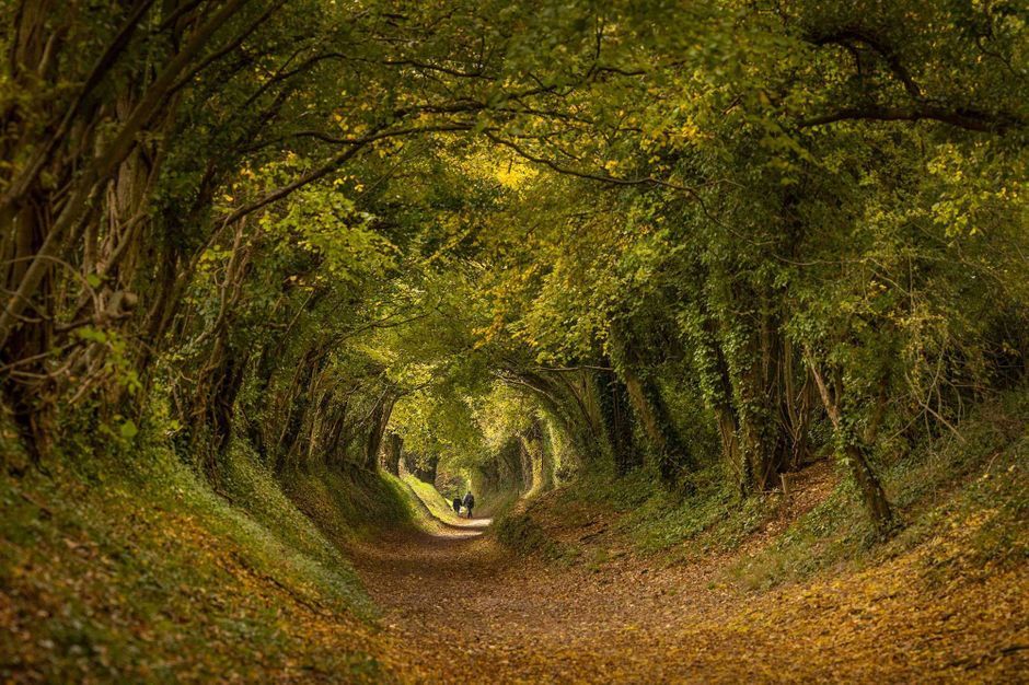 Ces petits coins de paradis pendant l’automne