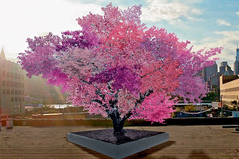 Sam Van Aken - Il a crée l’arbre aux 40 fruits