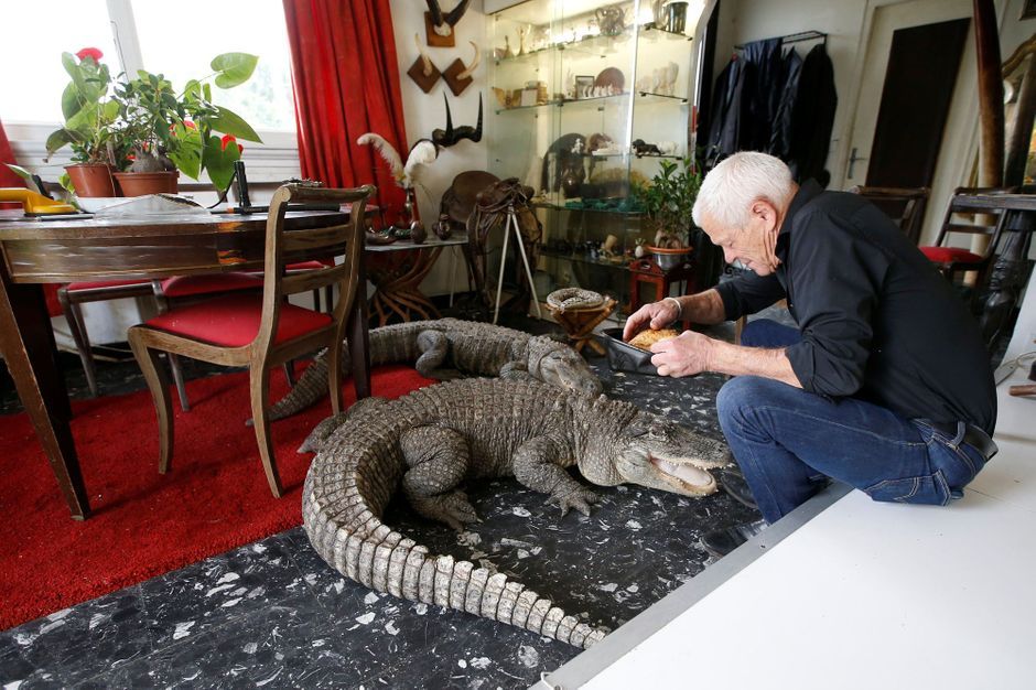 Philippe Gillet, l'homme qui vivait au milieu des reptiles
