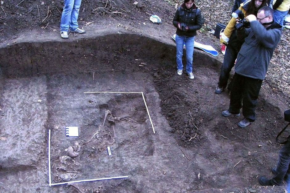 Découverte d'un charnier présumé de Juifs tués pendant la Shoah en Roumanie