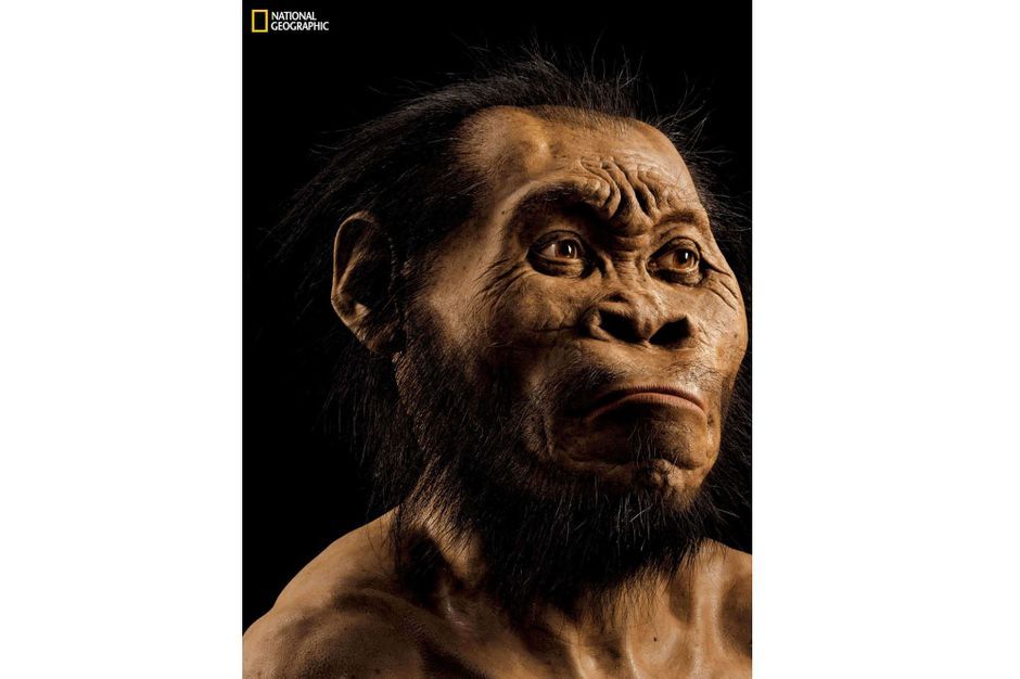 Une découverte remarquable - Homo naledi. Une nouvelle espèce humaine ... Une découverte remarquable - Homo naledi. Une nouvelle espèce humaine ...