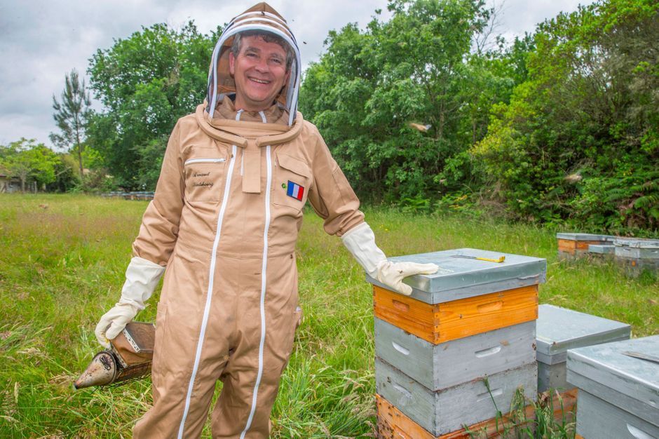 Montebourg lancera son miel "Bleu Blanc Ruche" en septembre