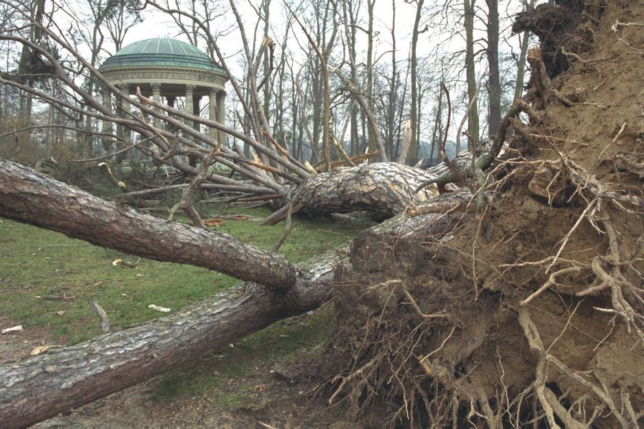 Tempête de décembre 1999 : la France meurtrie