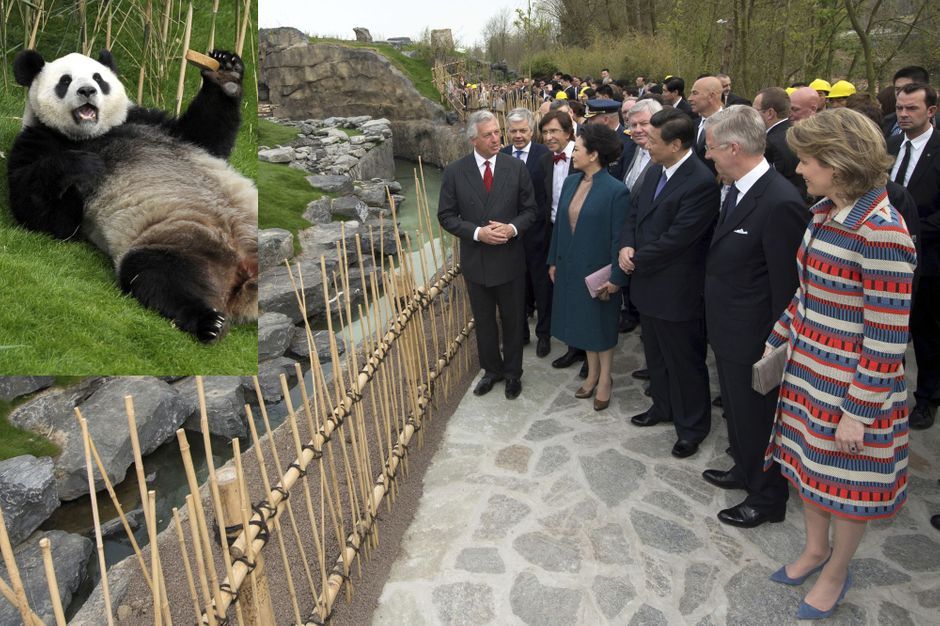 Royal Blog - Belgique - Le roi et le panda reçoivent le président chinois