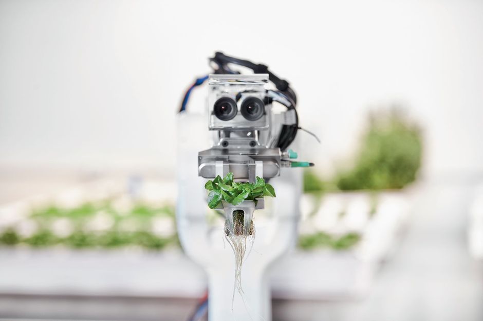 Iron Ox : la ferme des robots