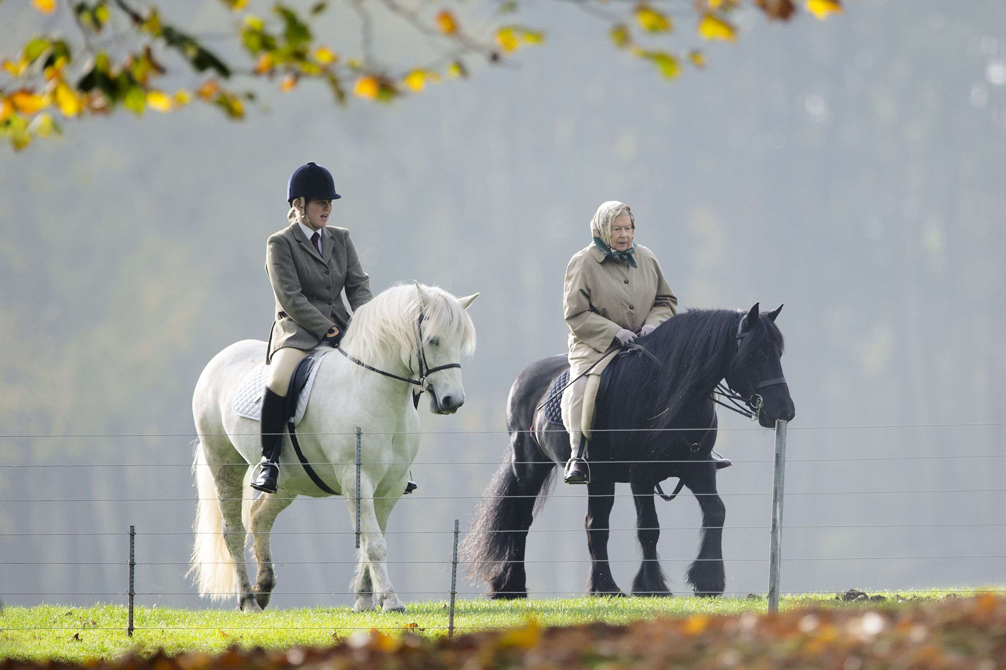 Reine Elizabeth II en photos - À cheval comme en diplomatie, elle assure