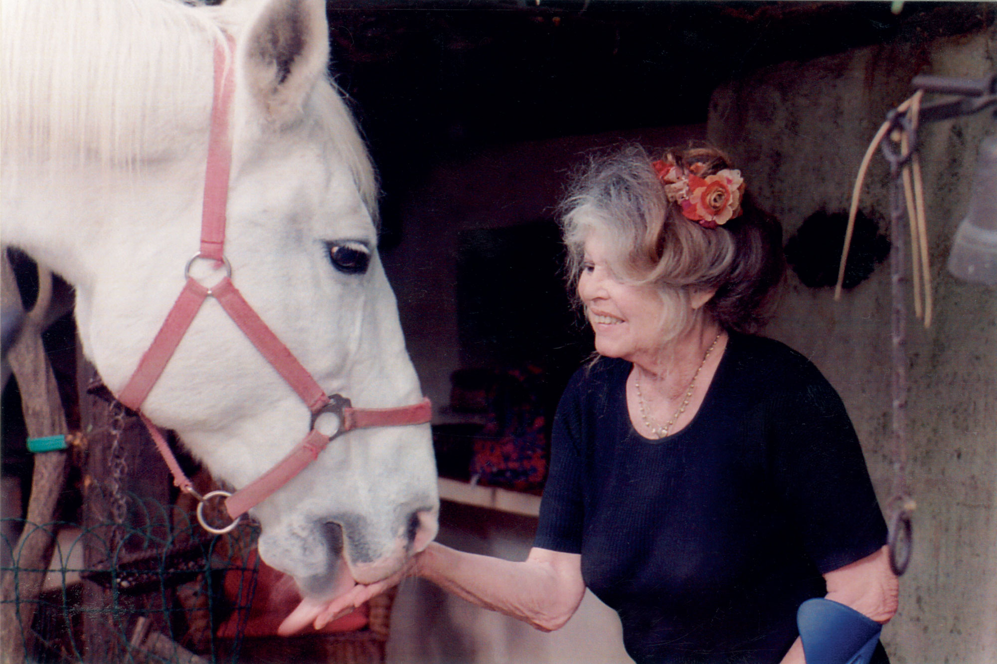 L’appel de détresse de Brigitte Bardot - Viande de cheval