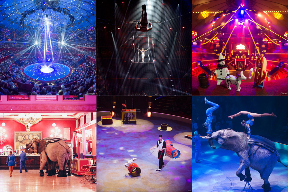 Une journée au Cirque d’Hiver Bouglione - Rencontre Instagram