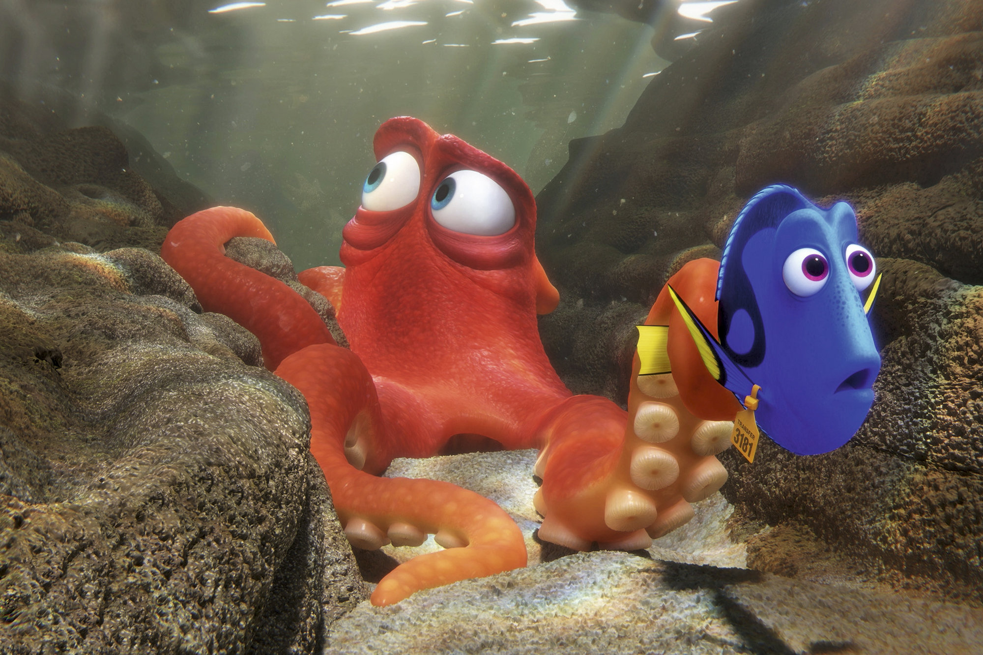 Dans les coulisses du "Monde de Dory"