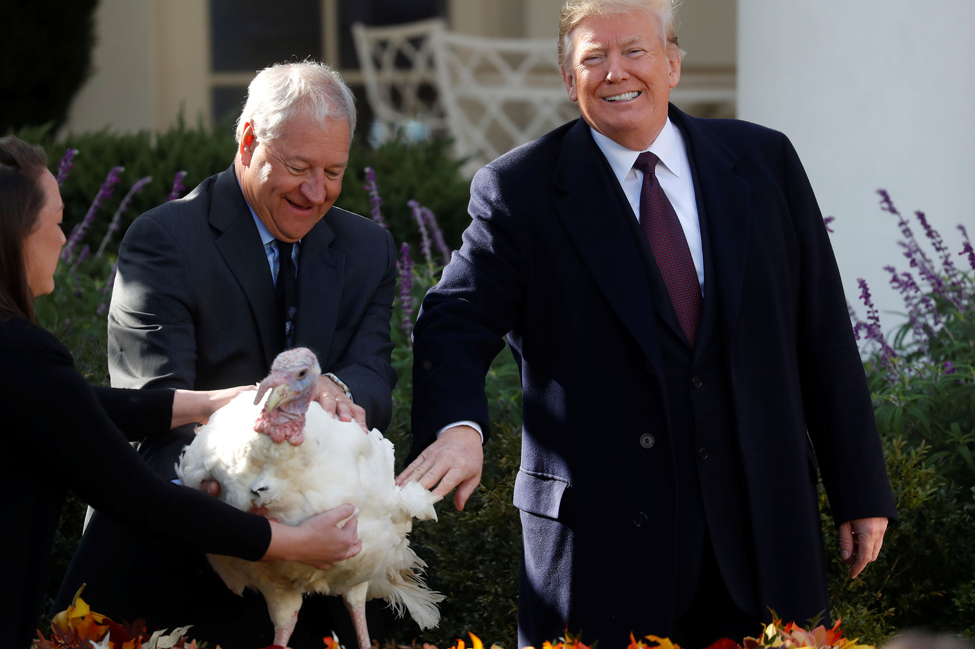 Donald Trump gracie la dinde de Thanksgiving devant ses petits-enfants