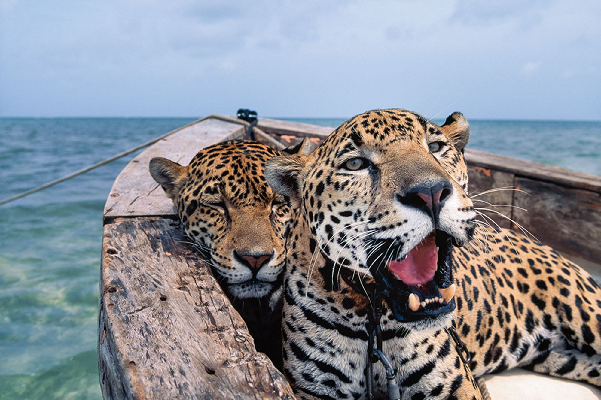 Le tour du monde en 125 ans - National Geographic