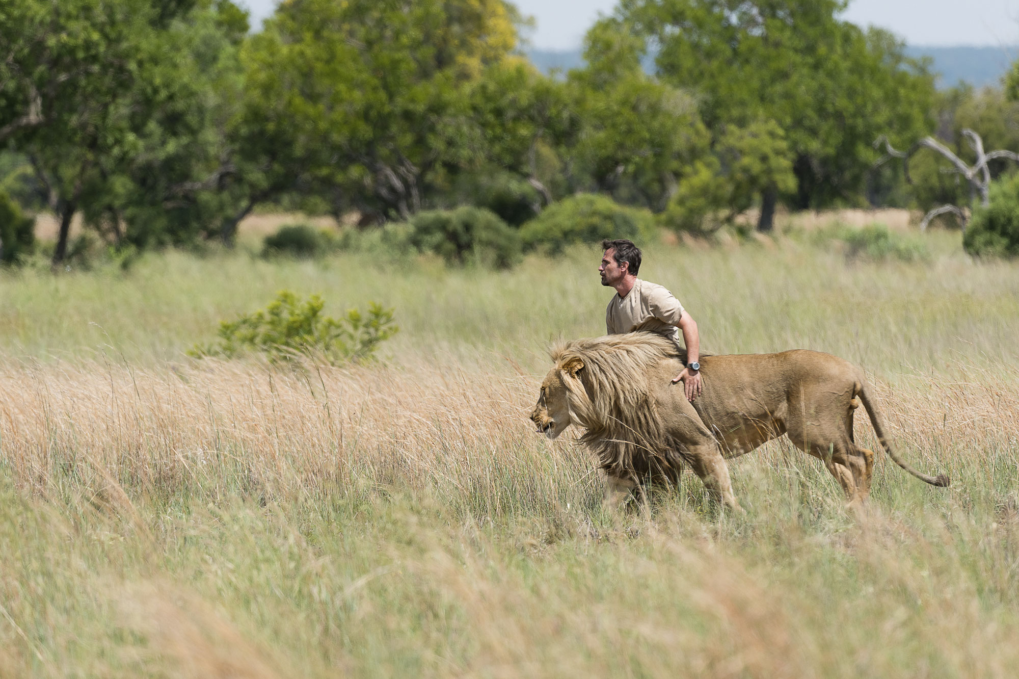 Kevin Richardson: le roi lion