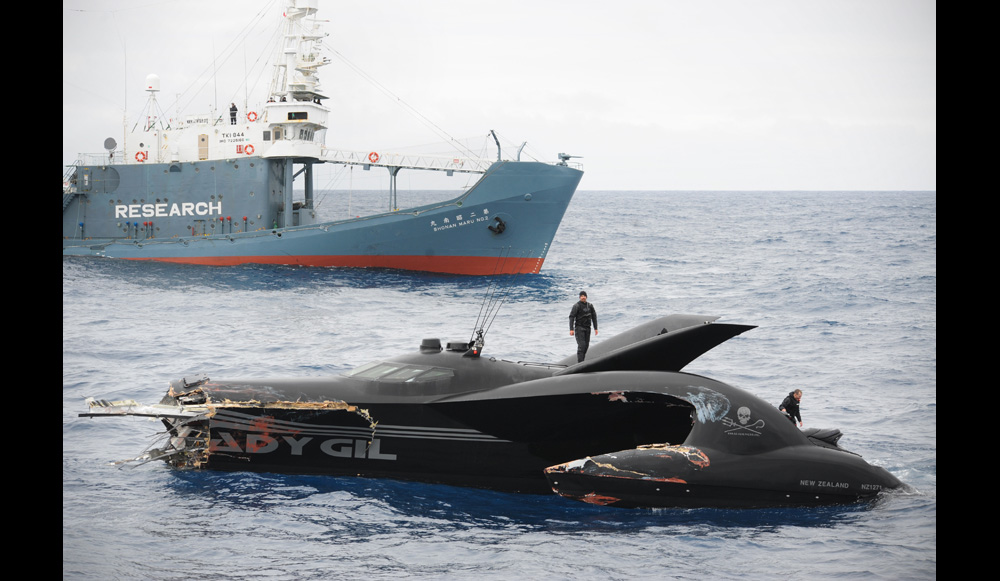 Antarctique: L'Ady Gil a sombré