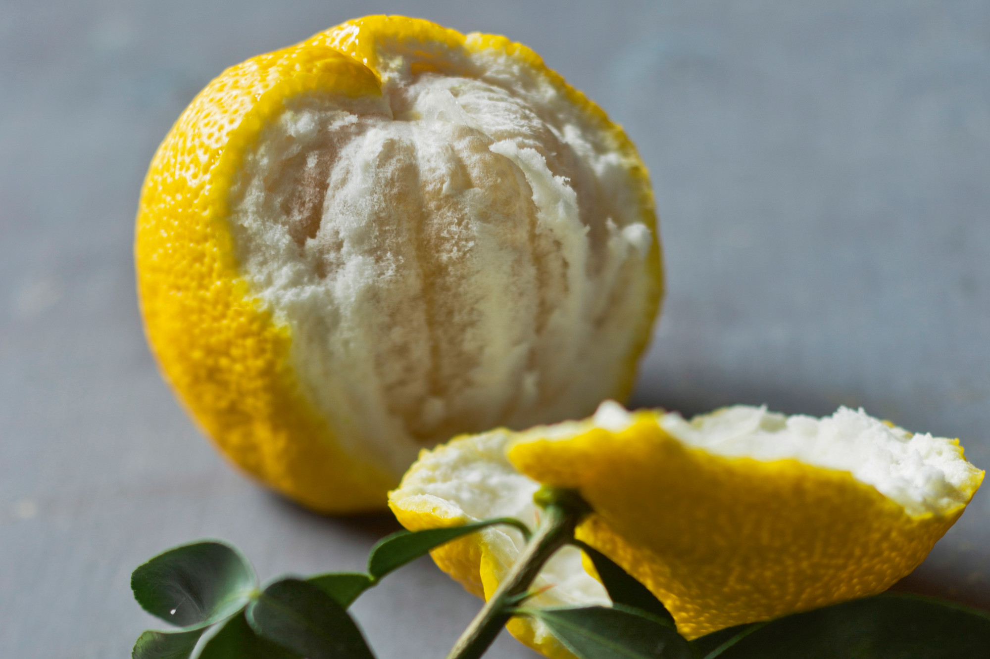 Les secrets des agrumes rares