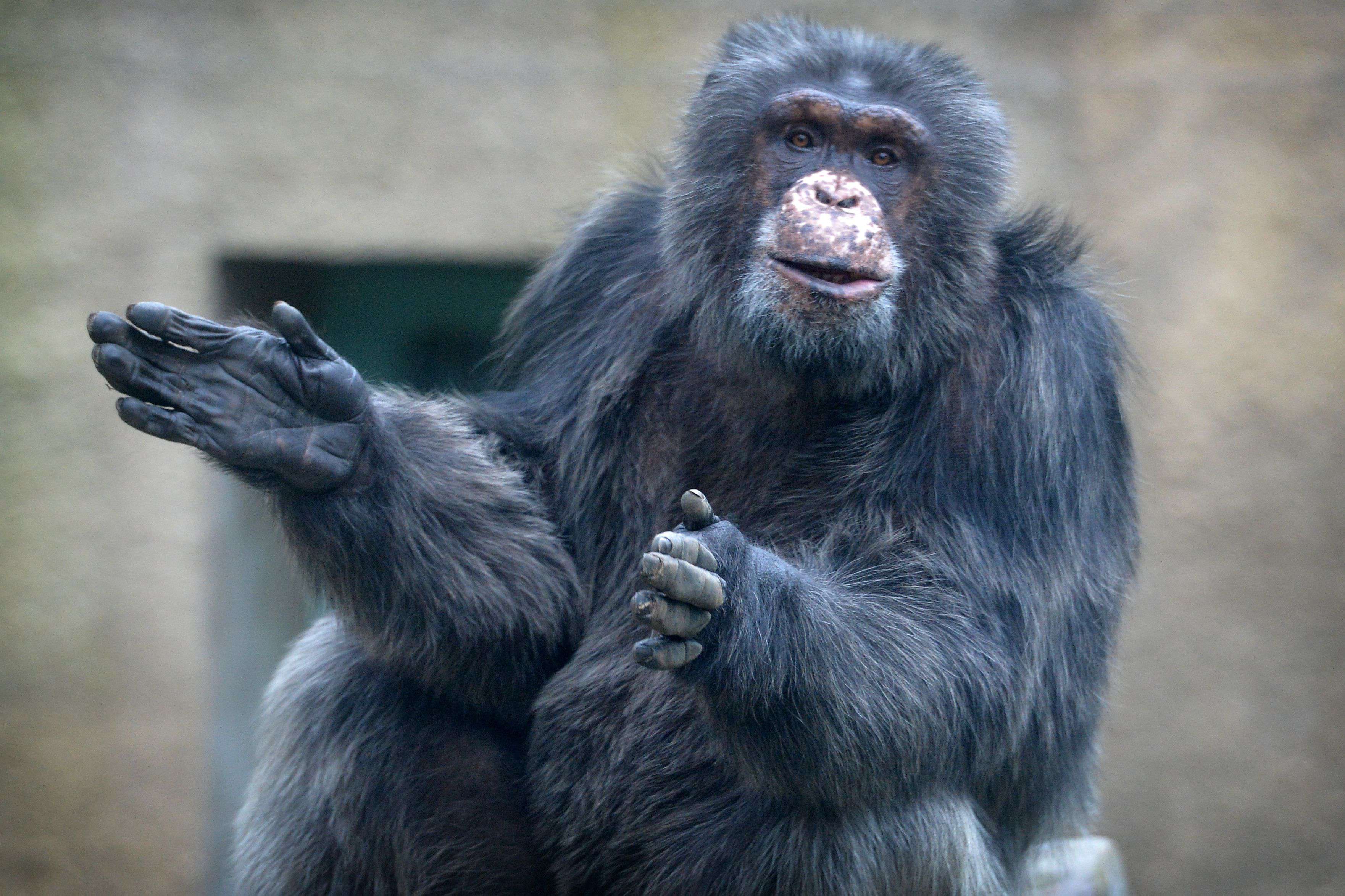 Pamela Chew (@pchew2004) on Flipboard