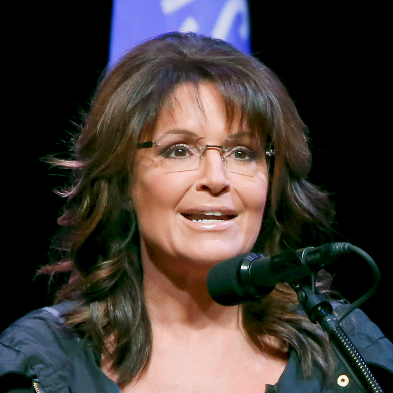 Sarah Palin